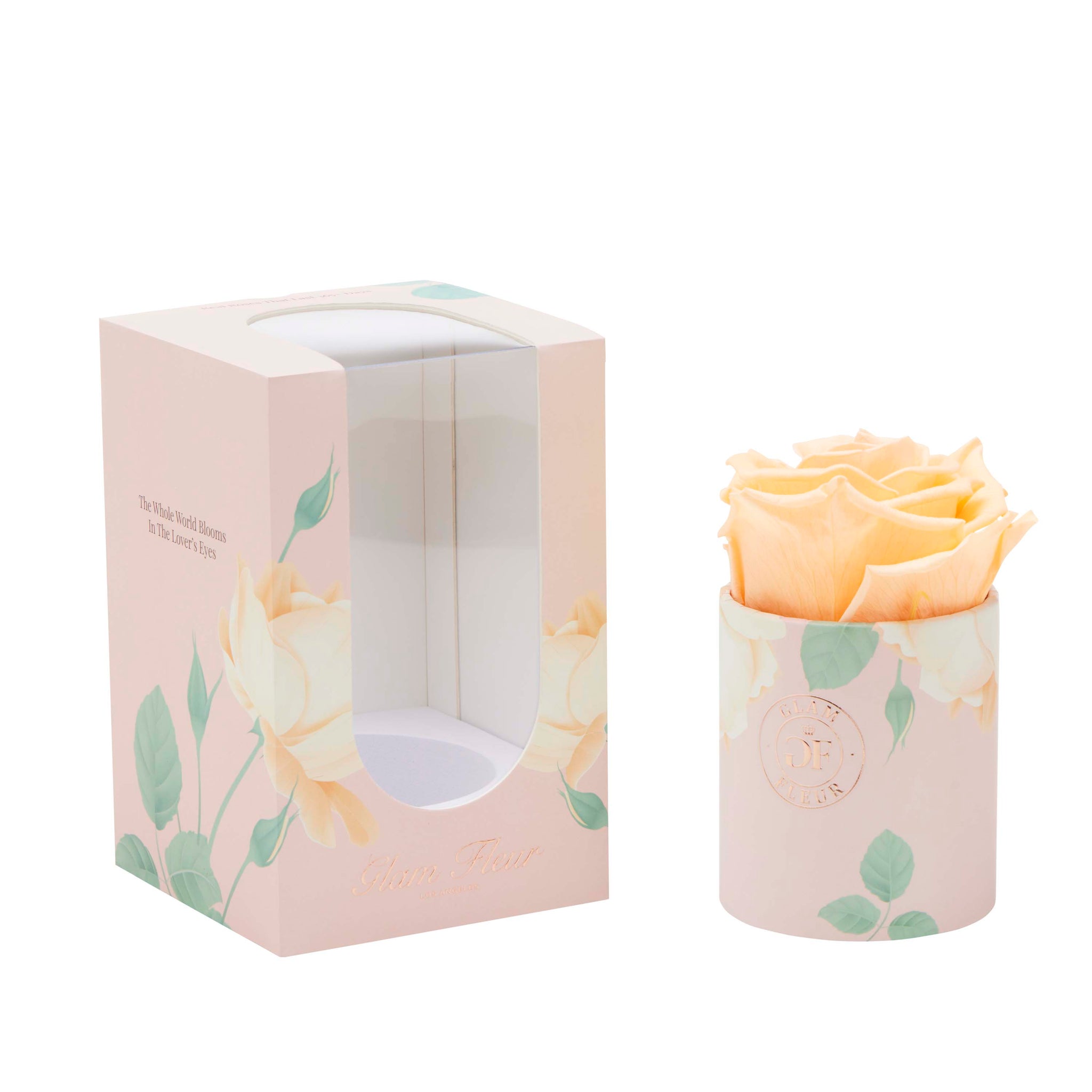 Peach Long Lasting Rose in Blanche Uno Box - Glam Fleur®