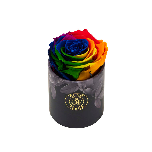Rainbow Long Lasting Rose in Noir Uno Box | Glam Fleur®
