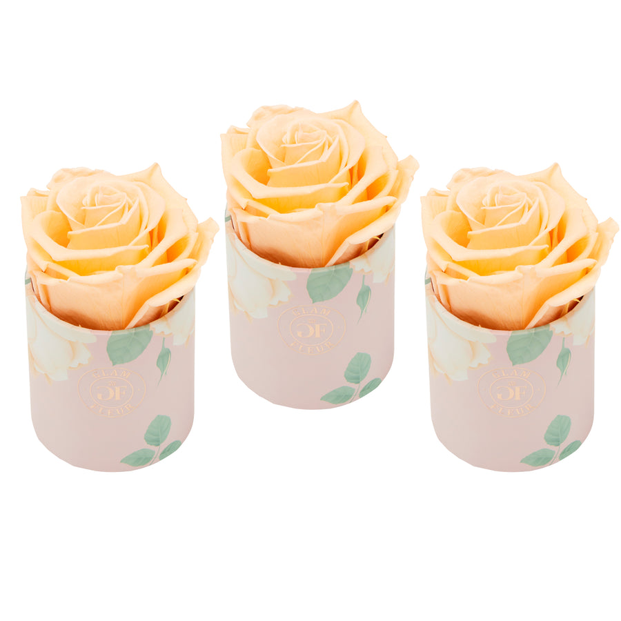 Uno Blanche Peach Bundle - Glam Fleur®