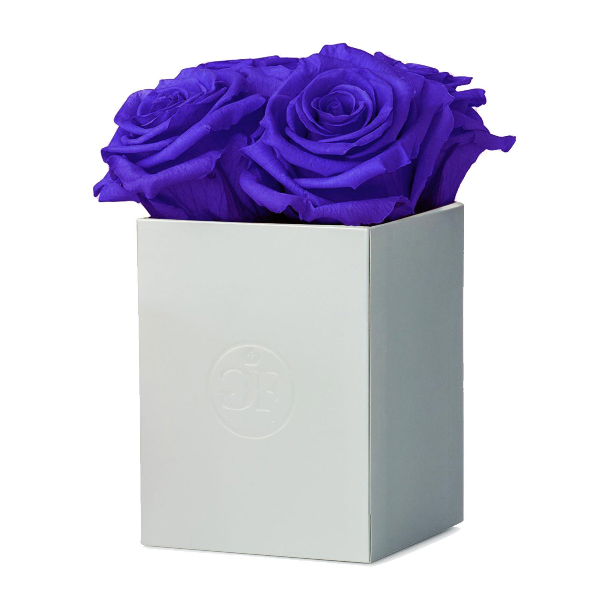 Purple Preserved Roses - Forever Roses in a Box - Glam Fleur